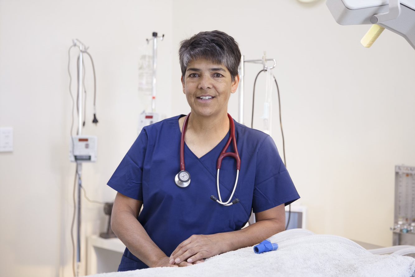 About Us – Ōtaki Vets